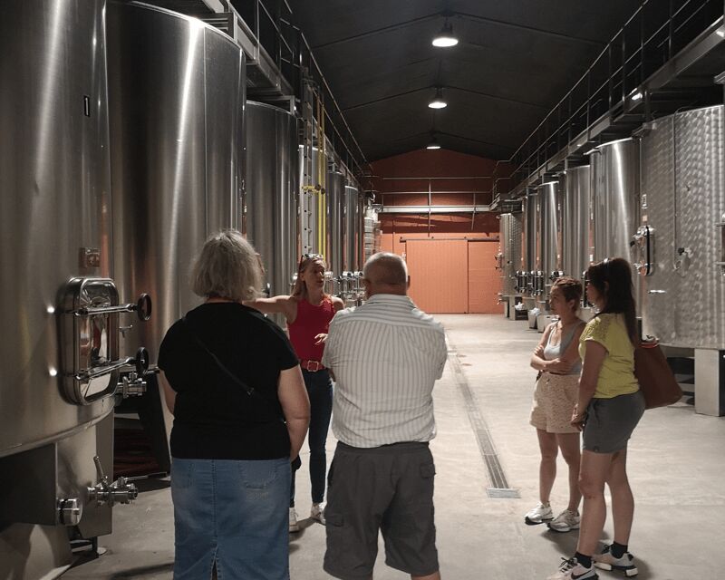 Médoc wine tour from Bordeaux: 2 wineries & 6 wines - The Experience’s Strengths and Areas for Improvement