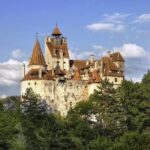 Meet the Bears & Visit Dracula Castle Day Tour from Bucharest - Why Choose This Tour?