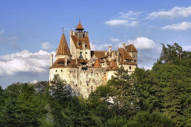 Meet the Bears & Visit Dracula Castle Day Tour from Bucharest - Why Choose This Tour?
