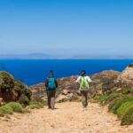 Meet the trees in Cyclades Hiking (Small group experience) - A Closer Look at the Experience