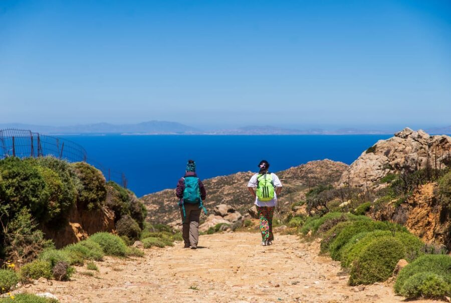 Meet the trees in Cyclades Hiking (Small group experience) - A Closer Look at the Experience