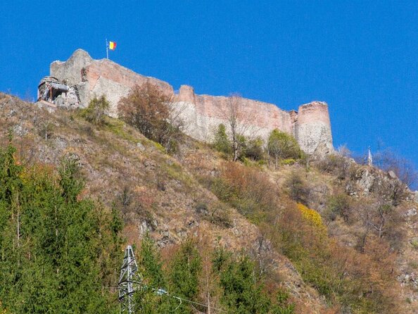 Meet Wild Brown Bears on the Roads to Real Dracula's Fortress - Key Points