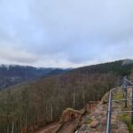 Meistersel Castle: adventure tour of the medieval castle - Setting the Scene: What to Expect at Meistersel Castle