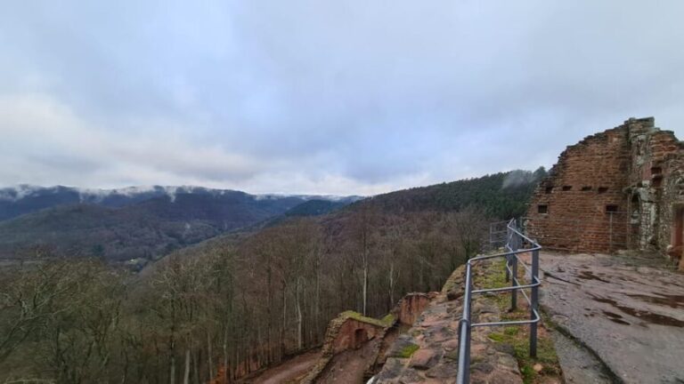 Meistersel Castle: adventure tour of the medieval castle - Setting the Scene: What to Expect at Meistersel Castle