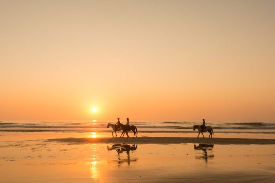 Melides: Horse Riding on the Beach with Wine Tasting - Who Will Love This Tour?