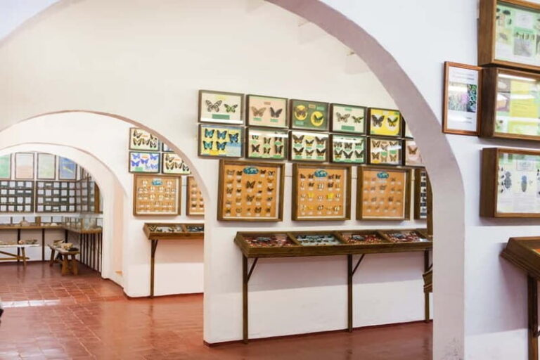 Menorca: Binissues & Natural Sciences Museum Ticket - Who Will Love This Tour?
