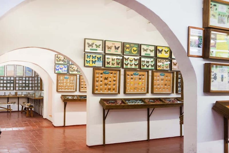 Menorca: Binissues & Natural Sciences Museum Ticket - Who Will Love This Tour?