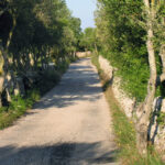 Menorca: E-Bike Tour From Punta Prima to Es Castell - The Value of This Tour