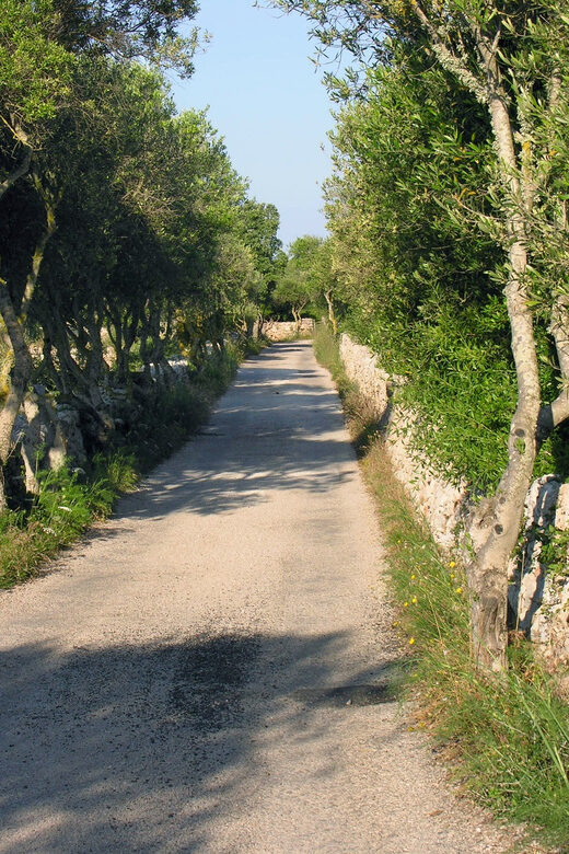 Menorca: E-Bike Tour From Punta Prima to Es Castell - The Value of This Tour