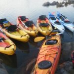 Menorca: Half-Day Kayak Excursion in Fornells - Authentic Feedback from Participants