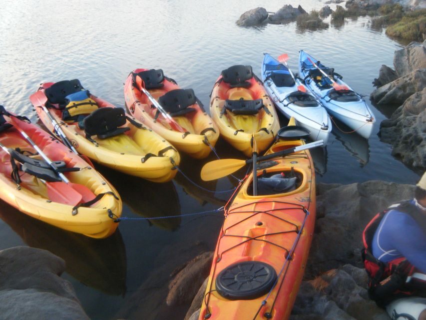 Menorca: Half-Day Kayak Excursion in Fornells - Authentic Feedback from Participants