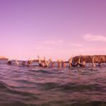 Menorca: Snorkeling Safari Tour - Frequently Asked Questions