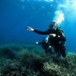 Menorca: Try scuba diving in Cala'n Bosch -BLUEWATER MENORCA - What’s Included and What’s Not