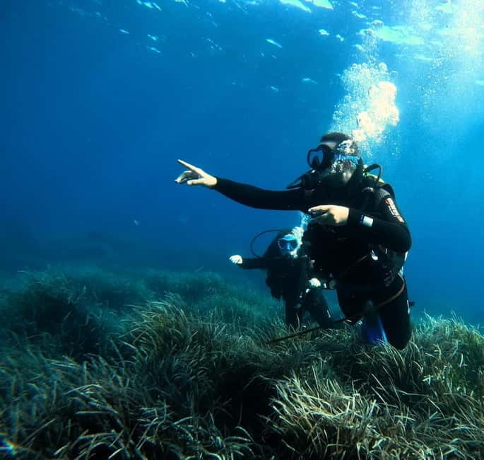 Menorca: Try scuba diving in Cala'n Bosch -BLUEWATER MENORCA - What’s Included and What’s Not