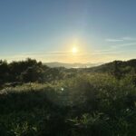 Menorca wakes up: Breakfast at sunrise - Breakfast in the Countryside: A Piece of Menorca’s Charm