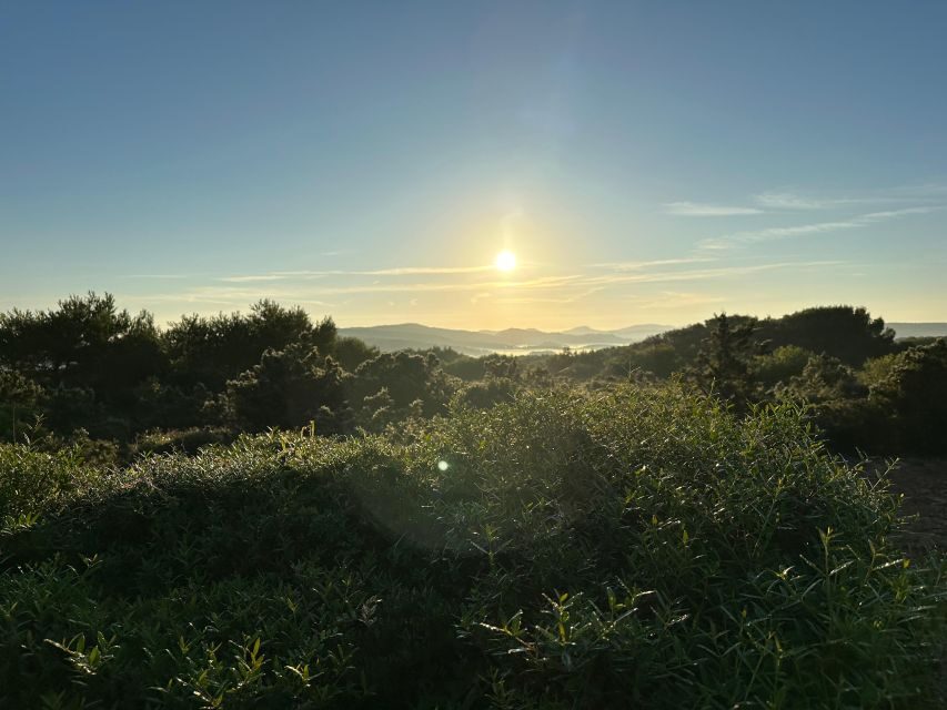 Menorca wakes up: Breakfast at sunrise - Breakfast in the Countryside: A Piece of Menorca’s Charm