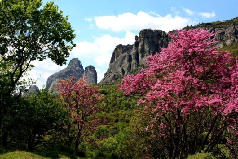 Meteora: Easy Hiking Adventure - Authentic Value & Authentic Experiences