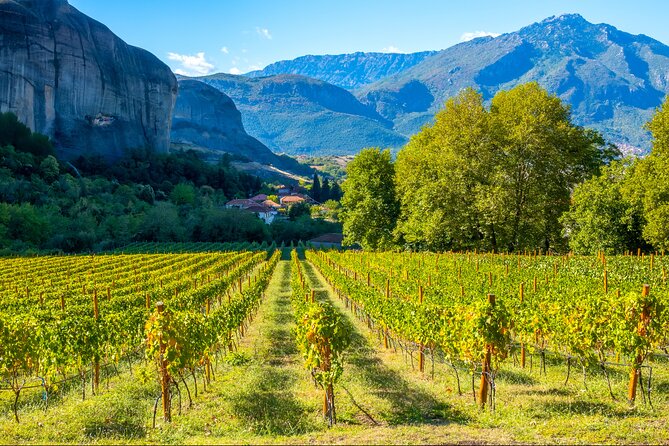 Meteora Food And Wine Private Tour - Key Points