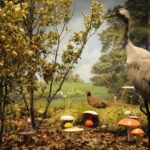Meteora: Natural History Museum and Mushroom Museum Tour - What the Collections Feature and How They Enhance Your Visit