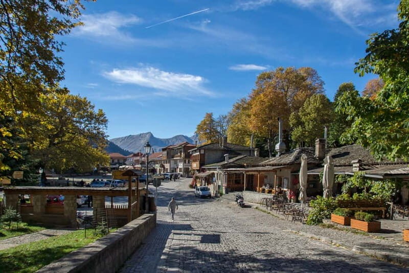 Metsovo: Private Guided City Tour - Practical Details and What to Expect
