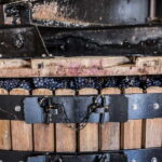 Meunier Champagne Experience tour - Passy-Grigny - Authentic Reviews: What Travelers Say