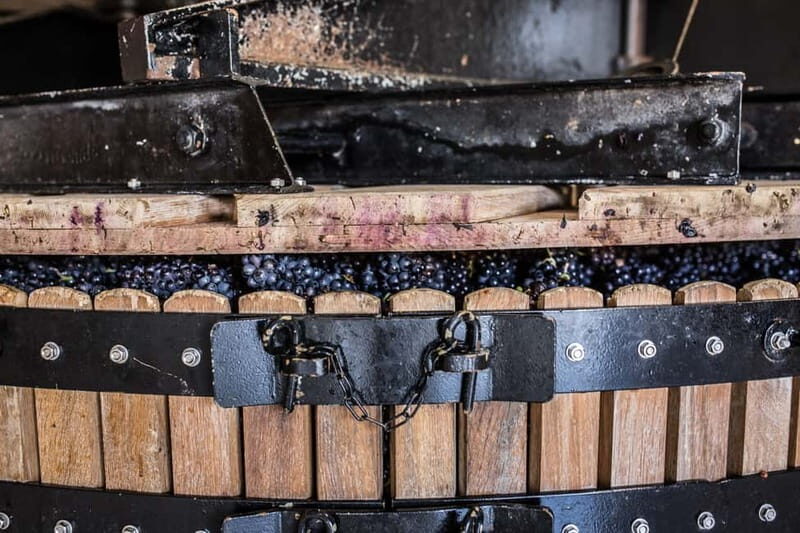 Meunier Champagne Experience tour - Passy-Grigny - Authentic Reviews: What Travelers Say