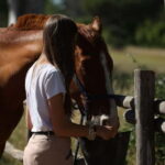 Middle day out of Rome: horsback riding adventure with meals - The Culinary Experience: More Than Just a Ride