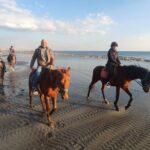 Middle day out of Rome on Horseback with meals included - What to Expect at Each Stop