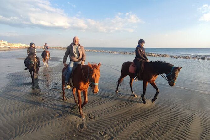 Middle day out of Rome on Horseback with meals included - What to Expect at Each Stop