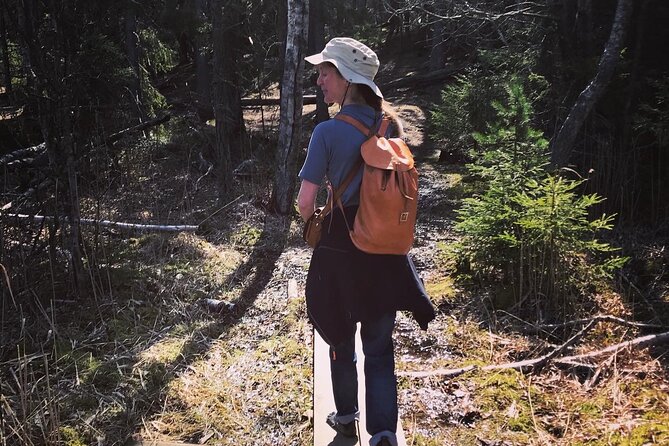 Midnight Sun and Campfire - National Park evening hike Stockholm - A Journey into Stockholm’s Wilderness: The Itinerary Detailed