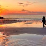 Midnight sun tour - What the Experience Offers