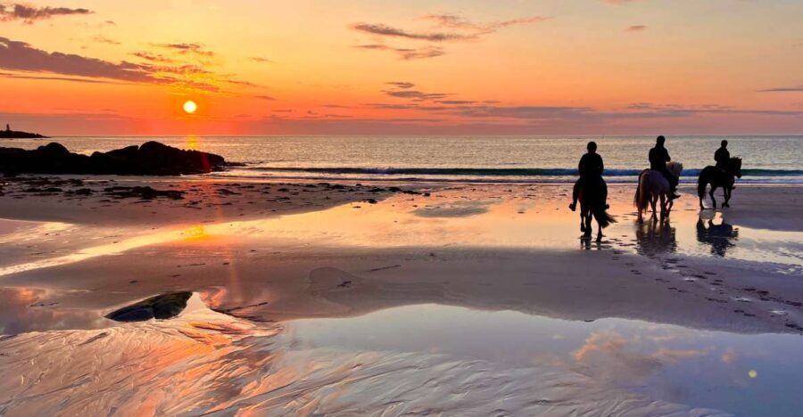 Midnight sun tour - What the Experience Offers