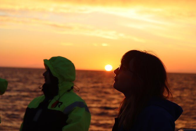 Midnight Sun Whale Watching from Reykjavik - FAQ