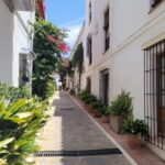 Mijas, Marbella, and Puerto Banús from the Costa del Sol - Practical Tips for Travelers