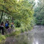 Milan: Bike Tour with Picnic on the turtle lake - The Itinerary in Detail