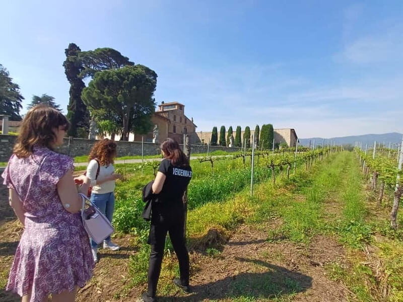Milan: Brescia & Franciacorta with Wine Tasting Small Group - The Itinerary Breakdown: What You Can Expect