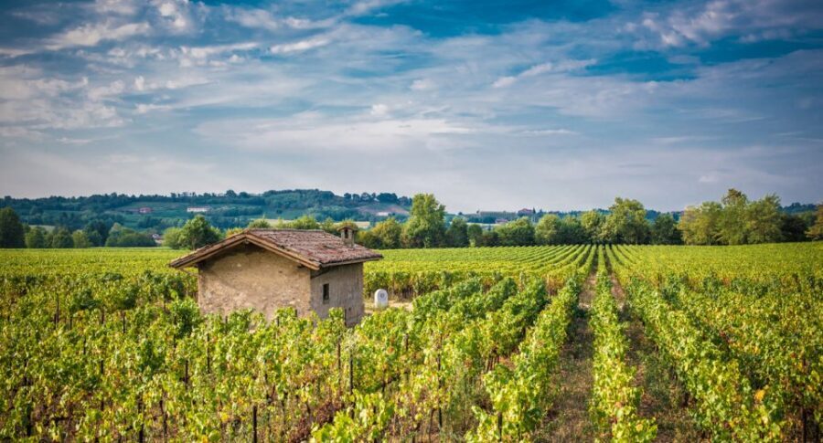 Milan: Franciacorta Winery and Bergamo Day Trip with Lunch - Deep Dive into the Itinerary