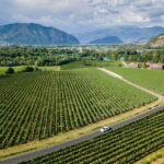 Milan: Lake Iseo & Franciacorta Wine Region with Cruise - The Panoramic Cruise Around Monte Isola