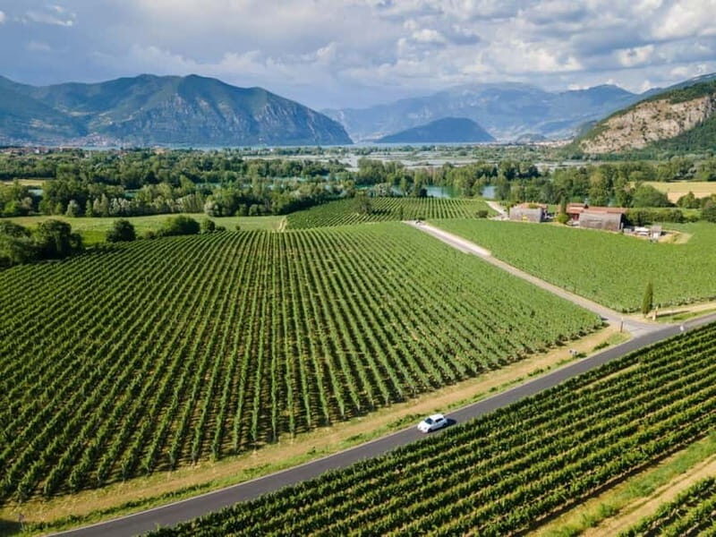 Milan: Lake Iseo & Franciacorta Wine Region with Cruise - The Panoramic Cruise Around Monte Isola