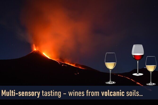 Milan: sensory journey to discover 3 unmissable red wines - Why This Tour Offers Great Value