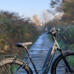 Milano e l'acqua. Tour dei parchi milanesi - Practical Aspects: What You Need to Know
