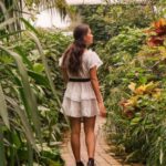 Milano Marittima: Casa delle Farfalle Entry Ticket - Practical Details and Tips