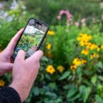 Mindful Photo Walk at Princess Pavilion & Gyllyngdune Gardens - What Makes This Tour Valuable