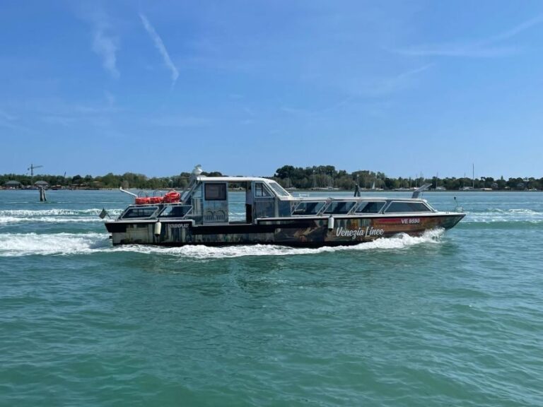Mini Cruise from Ple Roma to St Mark's areas with guide - The value of this experience