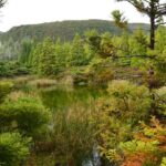 Mistérios Negros Hiking Trail - Terceira Azores - What to Expect from the Tour Experience