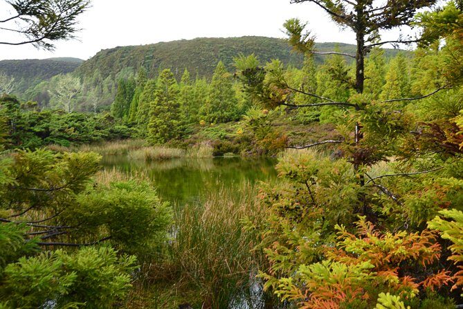 Mistérios Negros Hiking Trail - Terceira Azores - What to Expect from the Tour Experience