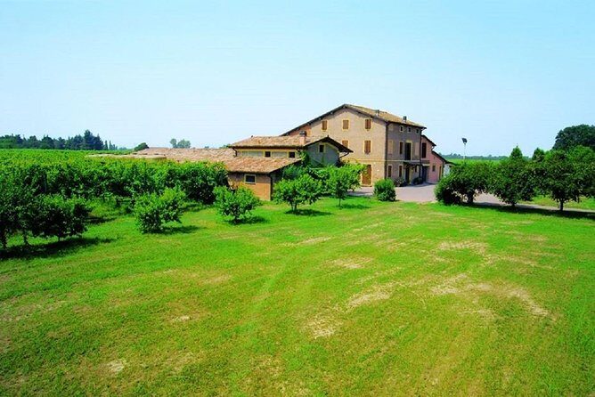 Modena area: Balsamic Vinegar Aceto Tasting Experience - Final Thoughts: Is This Tour Worth It?