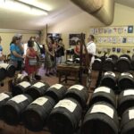 Modena: Balsamic Lunch with Vinegar Cellar Tour and Tasting - What Makes This Tour Special?