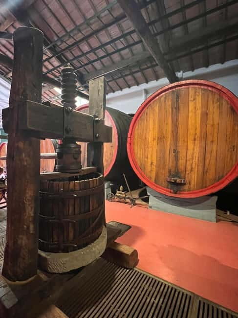 Modena: Parmesan, Balsamic Vinegar, Wine Tour + Lunch - Balsamic Vinegar: The Black Gold of Modena