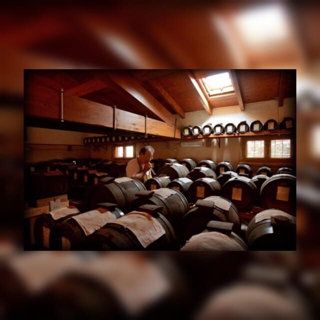 Modena:Tour&Taste of Bio & Traditional Balsamic Vinegar DOP - Who Is This Tour Best For?
